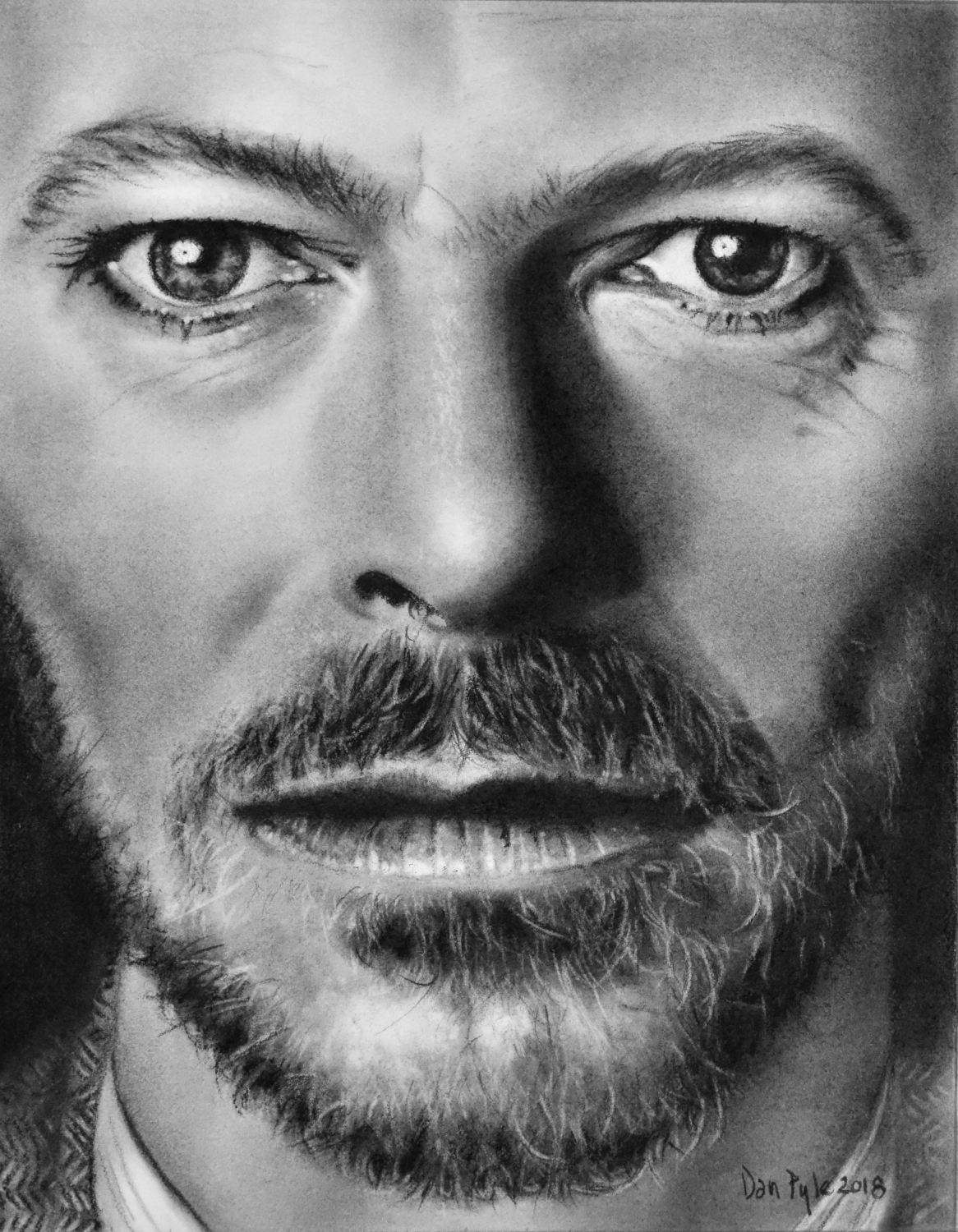 Dan Pyle | IMMORTAL - Kunsthandlung / Galerie Bilder Fuchs in Fulda