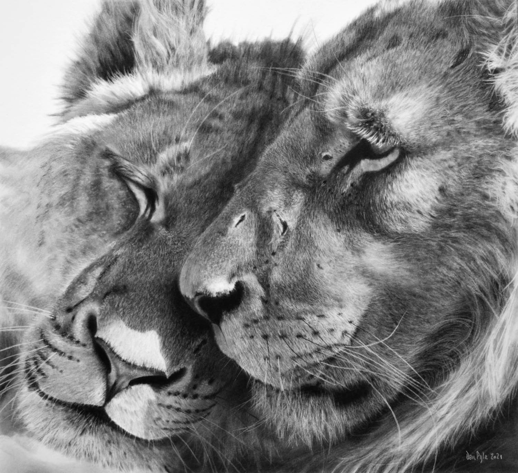 Pyle, Dan Archive - Kunsthandlung / Galerie Bilder Fuchs in Fulda