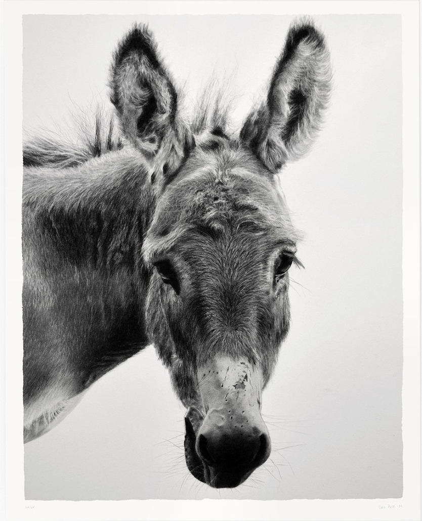 Pyle, Dan Archive - Kunsthandlung / Galerie Bilder Fuchs in Fulda