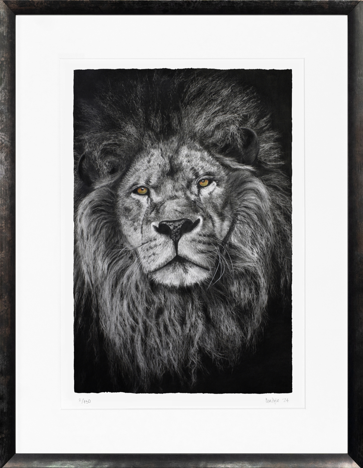 DAN PYLE | Simba - Kunsthandlung / Galerie Bilder Fuchs in Fulda